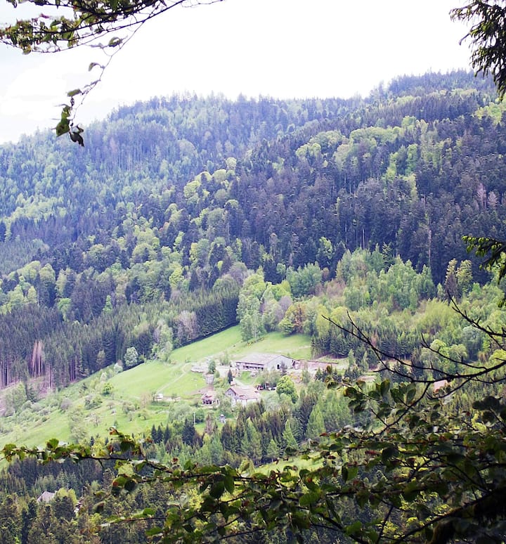 Loue Chambre Dans Une Ferme éQuestre - Remiremont