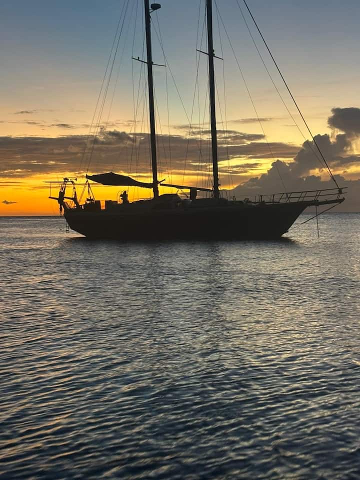 Cabine Spacieuse Sur Un Grand Voilier - Martinique