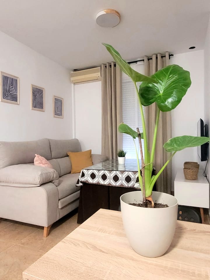 Casa Villarán - Niebla