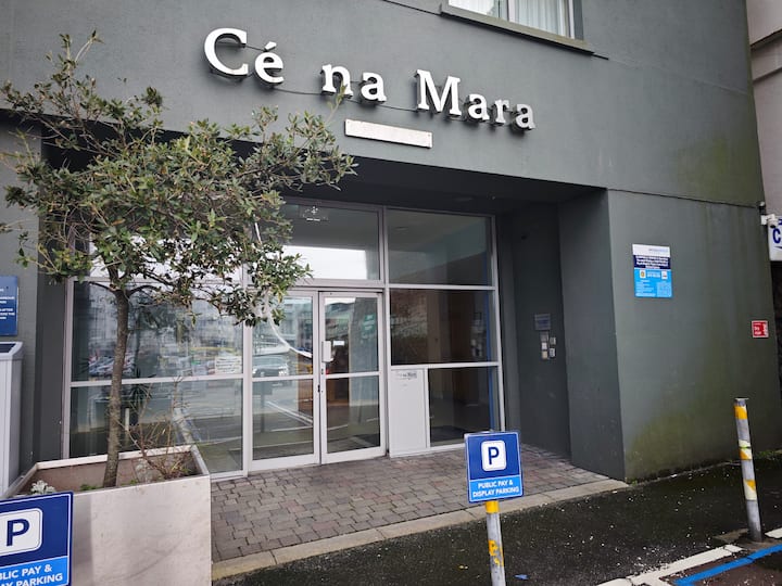 New Docks Apartment - Galway