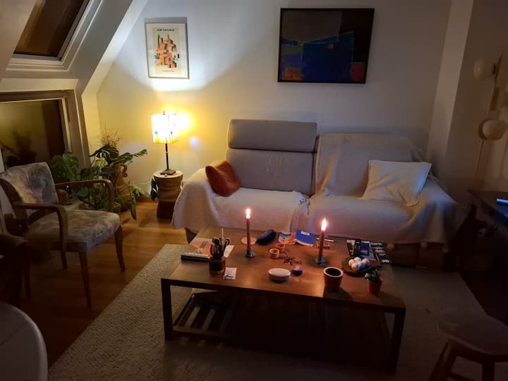 Canapé Lit Dans Duplex Au Pied De La Cathédrale - Évreux