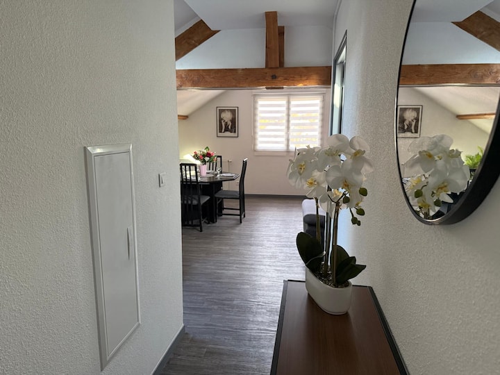 Appartement Calme Et Lumineux (2 Chambres) - Audincourt