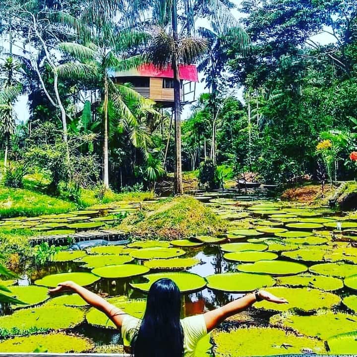 Reserva Natural Natura Park - Amazonas, Colombia
