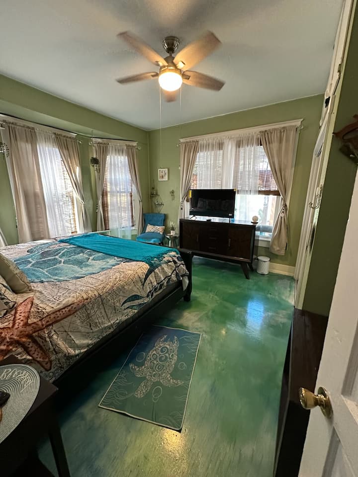 Sea Turtle Cozy Room - Galveston Island, TX