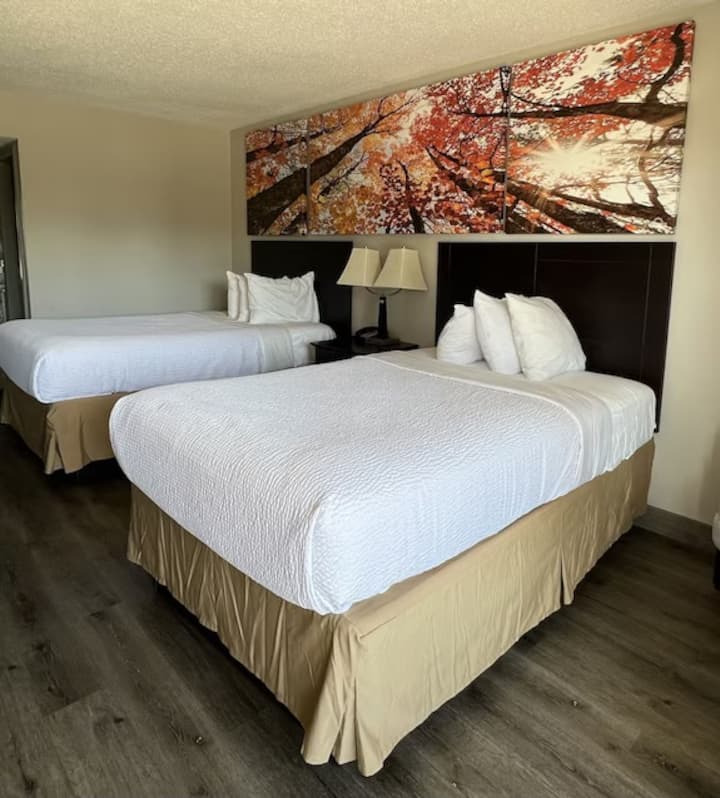 Simple, Clean, & Affordable Stay - Staunton, VA