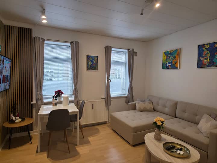 Lejlighed I Hjertet Af Esbjerg Centrum - Esbjerg