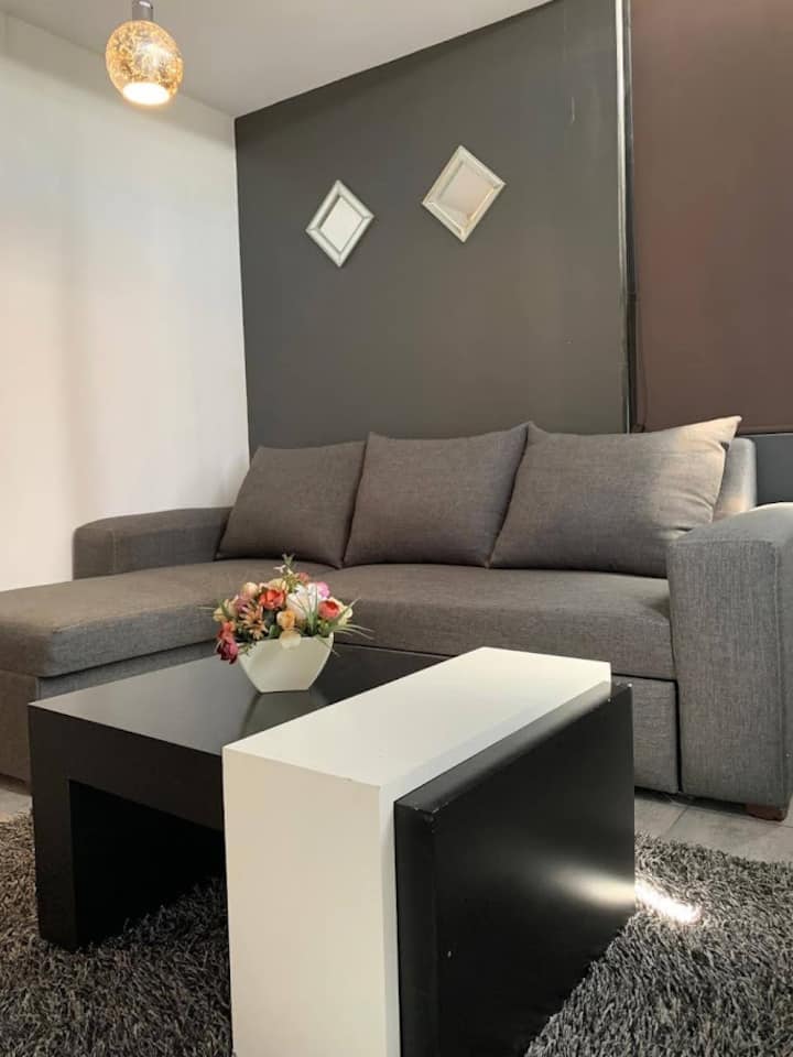 Cómodo Departamento En Metepec 4 - Metepec