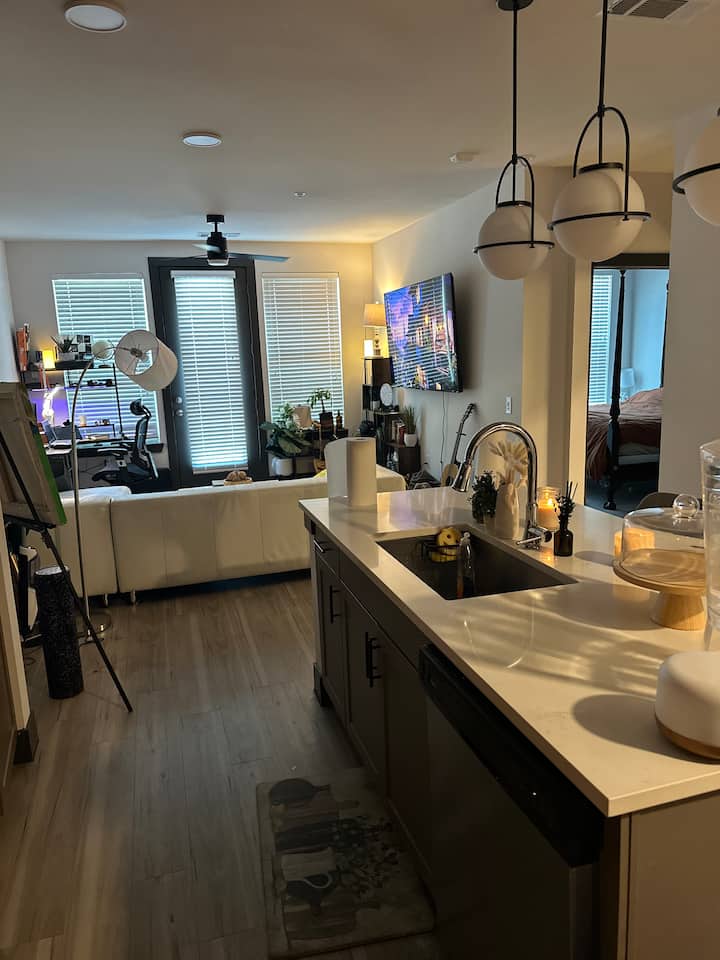 Luxe 1br Apartment W/ Garage + Pool & Sky Lounge - Arlington, TX