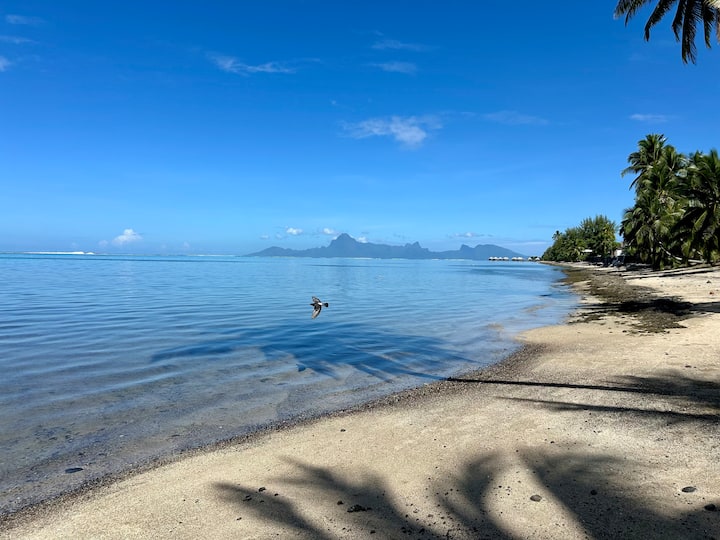 Coco Fare Beach Tahiti - Tahiti