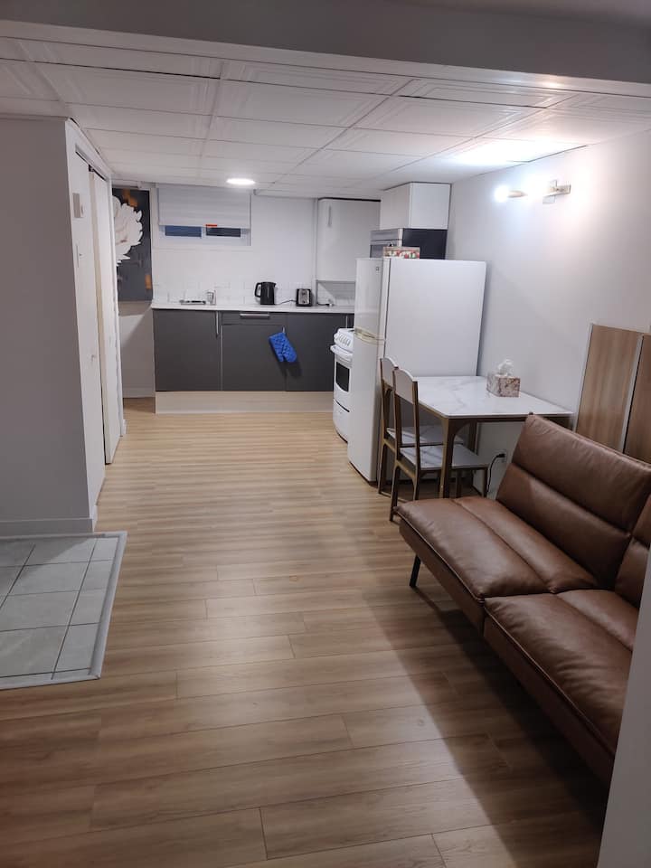 Entire Place: Appartment Fully Furnished-b - Laurentides
