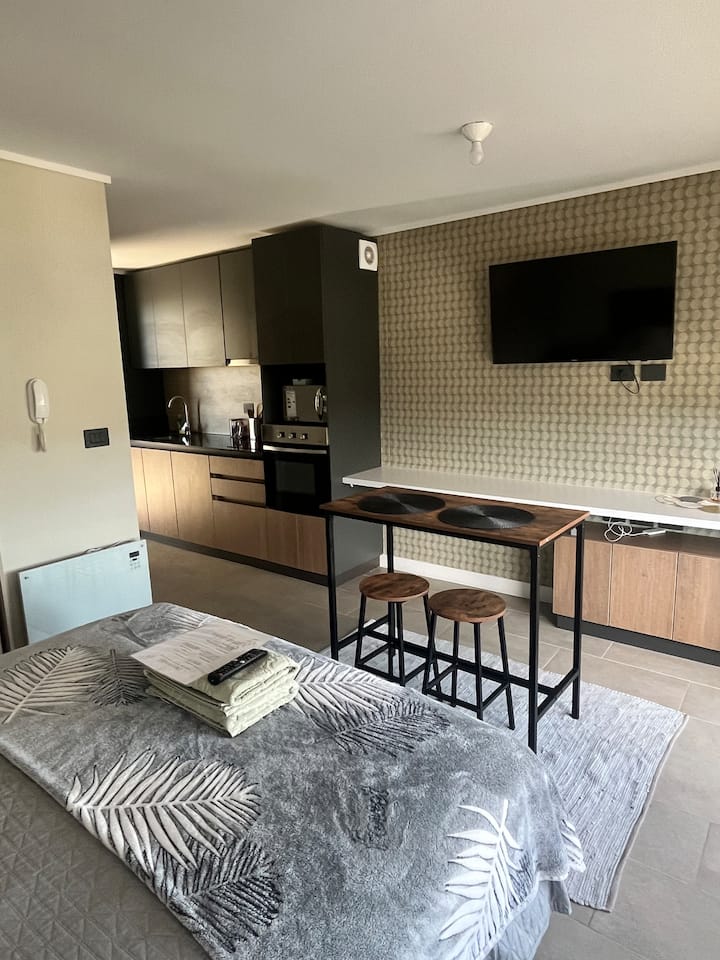 Moderno Y Céntrico, Incluye Parking. - Los Angeles, Chile