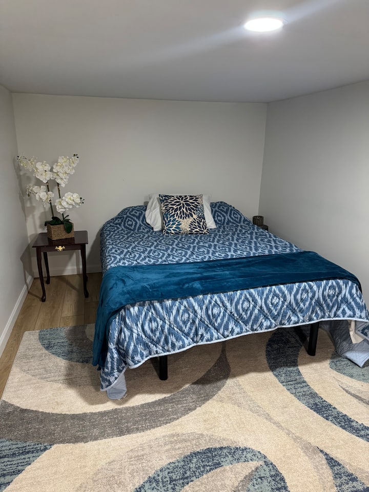 Historic Downtown Cozy Basement Apartment - Canton