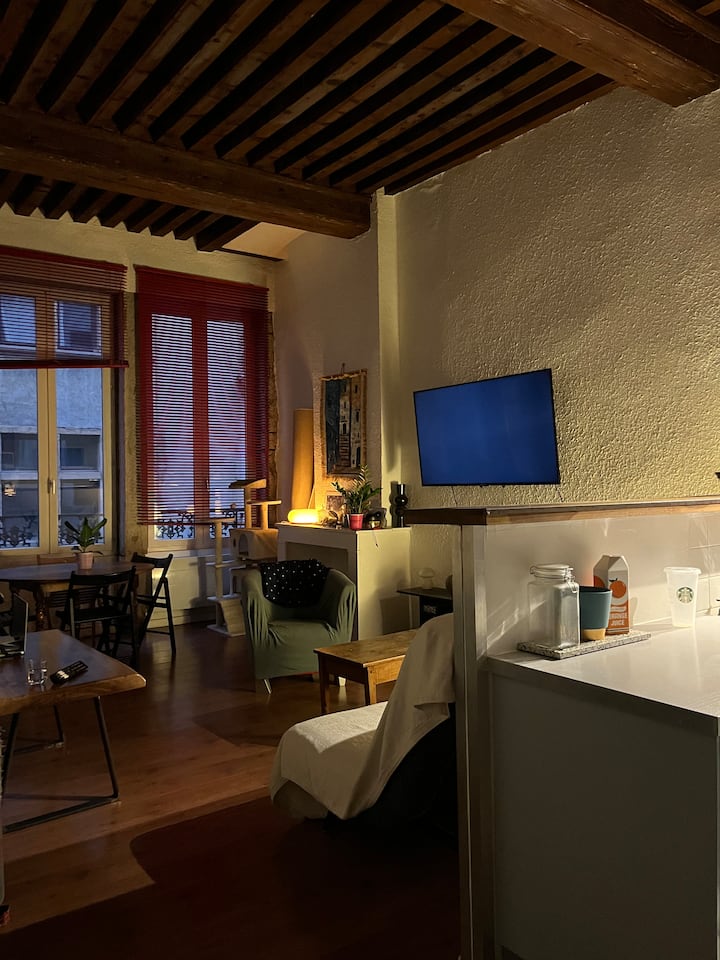 Bel Appartement Dans Le Vieux Lyon - Lyon