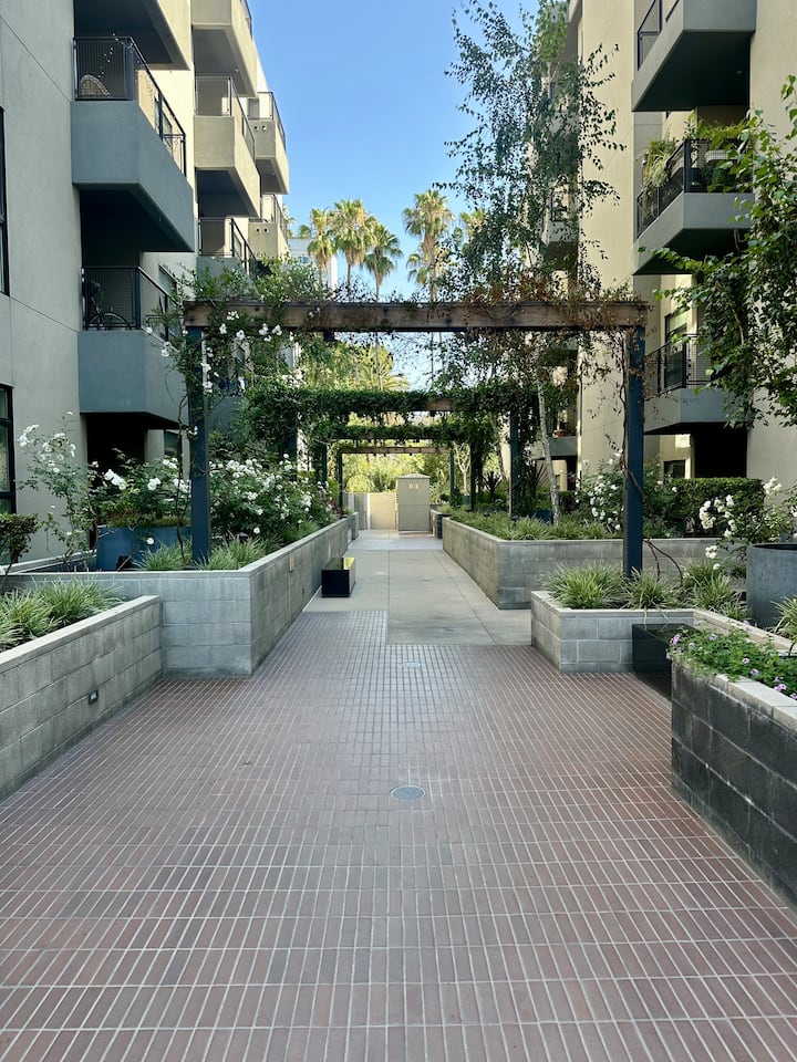 Sunset Vibe - Hollywood, CA