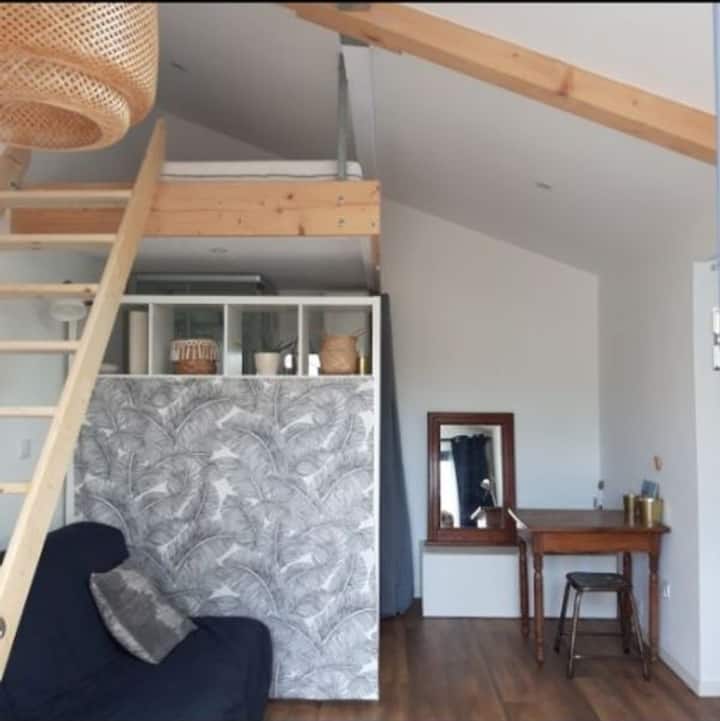 Logement Bayonne Anglet - Bayonne