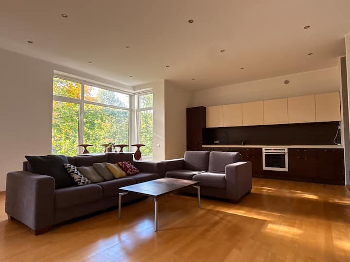 Calm Location Close To The Airport. Easy To Centre - Riga