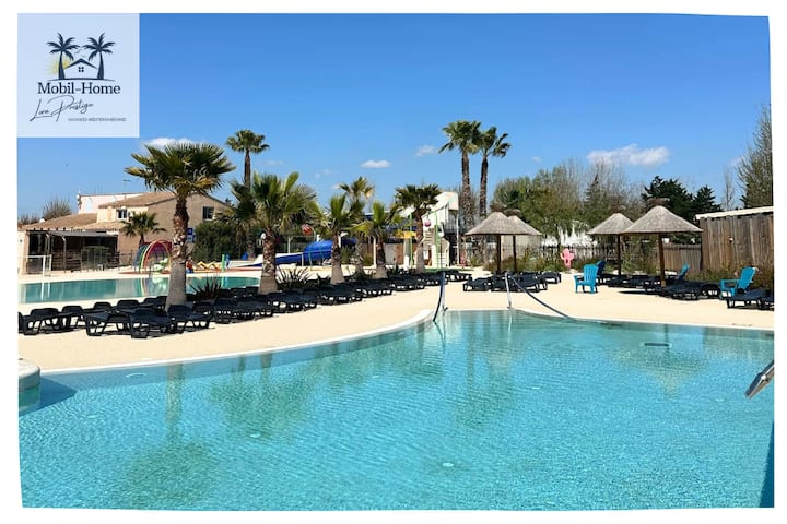 Mh _ L'eucalyptus Au Camping Les Sables Du Midi - Valras-Plage