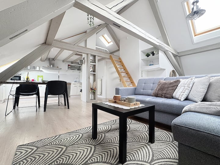 Appartement Charmant Au Cœur De Mulhouse - Mulhouse