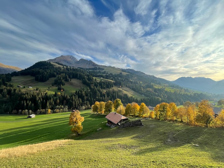 Tubegrabe-stafel - Gstaad