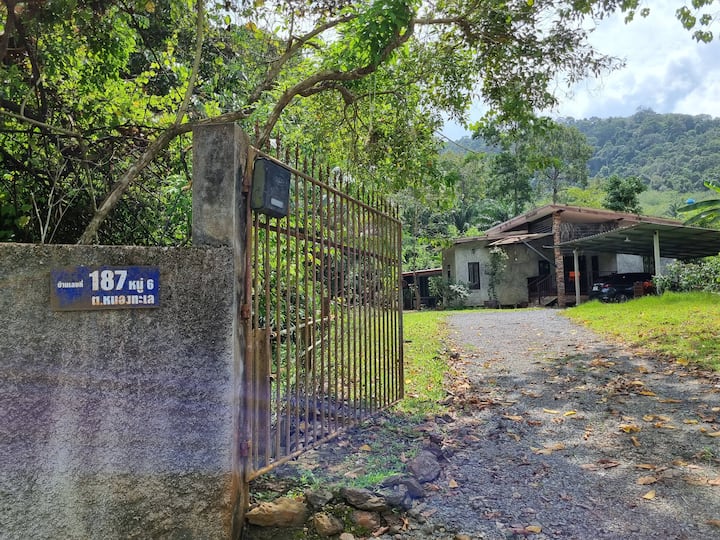 Verdant Home - Krabi