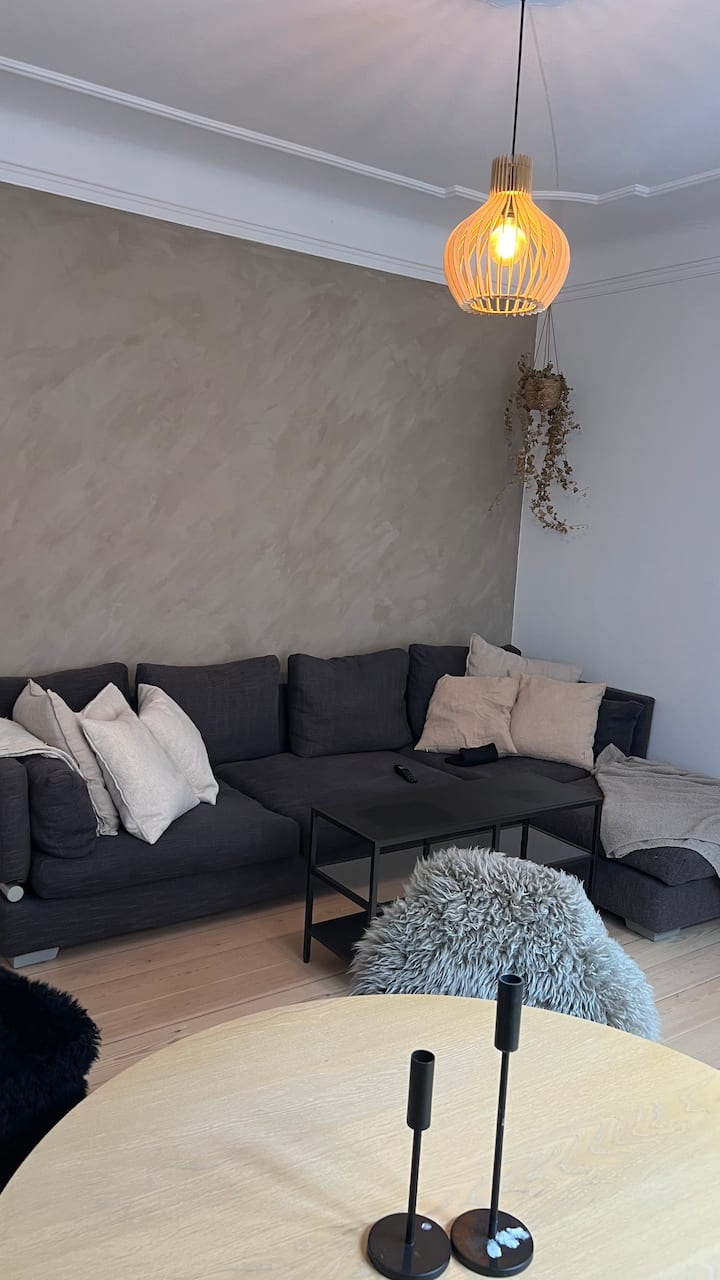 Charmerende Lejlighed Centralt I Aarhus C - Aarhus
