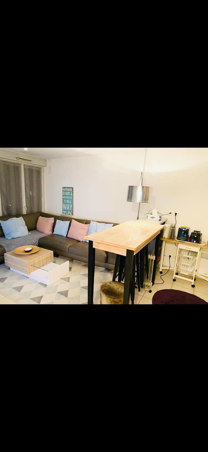 T3 Meyzieu Secteur Calme Dispo Du Lundi Auvend Mat - Meyzieu