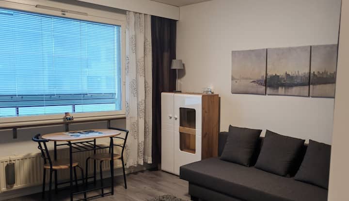 Huoneisto Rovaniemi Keskusta - Rovaniemi