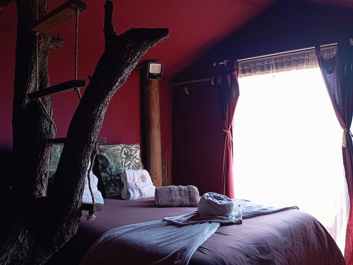 Casa Del ÁRbol - Teror