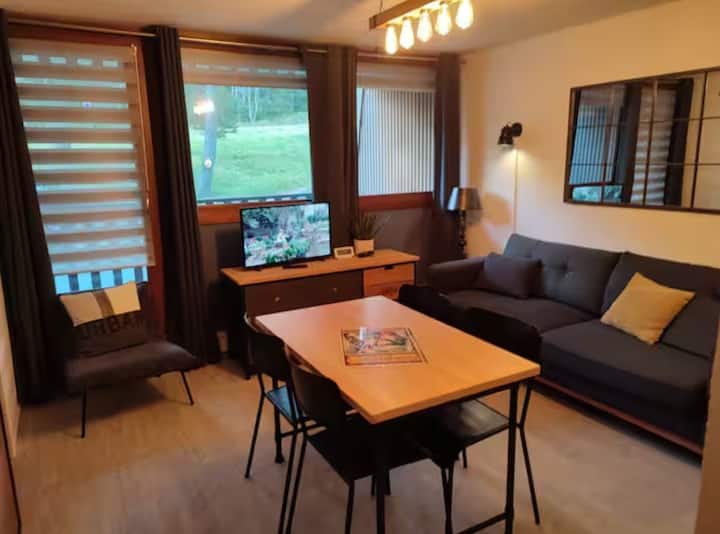 Appartement Rénové Au Pied Des Pistes Du Mont Dore - Chastreix