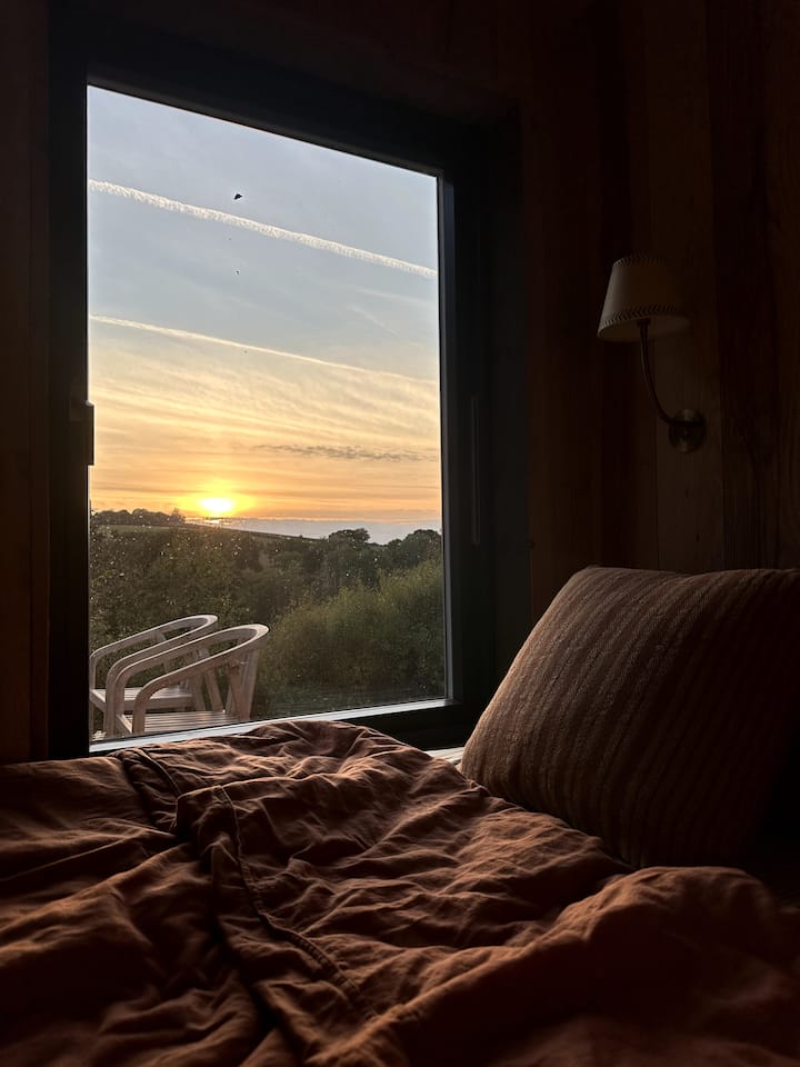 The Roost - Luxury Cabin - Dartmoor Forest