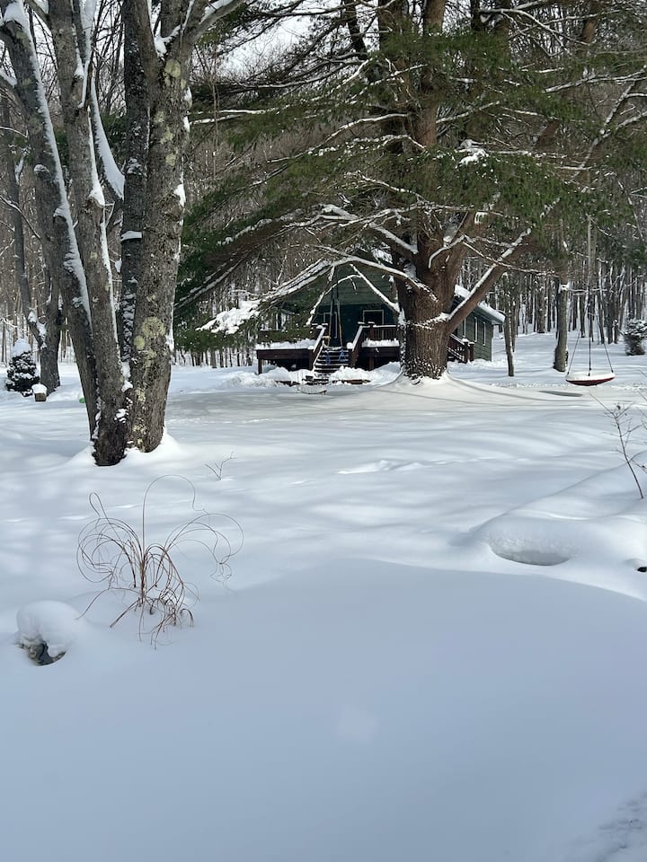 Alpine Hideaway - Ellicottville, NY