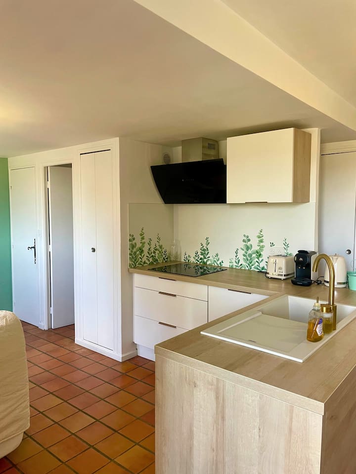 Charmant Duplex Provençal Avec Vue Sur Les Vignes - Vaison-la-Romaine