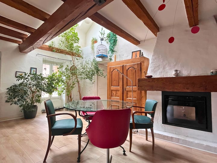 Appartement Spacieux 90 M² Cœur Historique Annecy - Annecy-le-Vieux