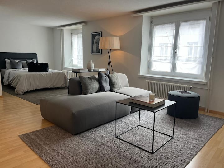Modern Loft Apartment In The Heart Of Zürich - Zúrich