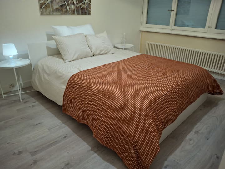 Chambre Lit Double, Cuisine, Wc, Salle De Bain - ローザンヌ