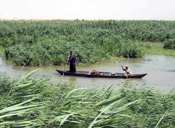 محافظة الناصريه قضاء الجبايش في اهوار الجبايش - Iraq