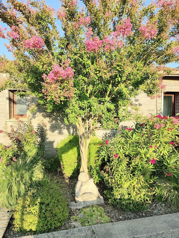 Longère Le Champ De La Mer/proche Mer - Longeville-sur-Mer