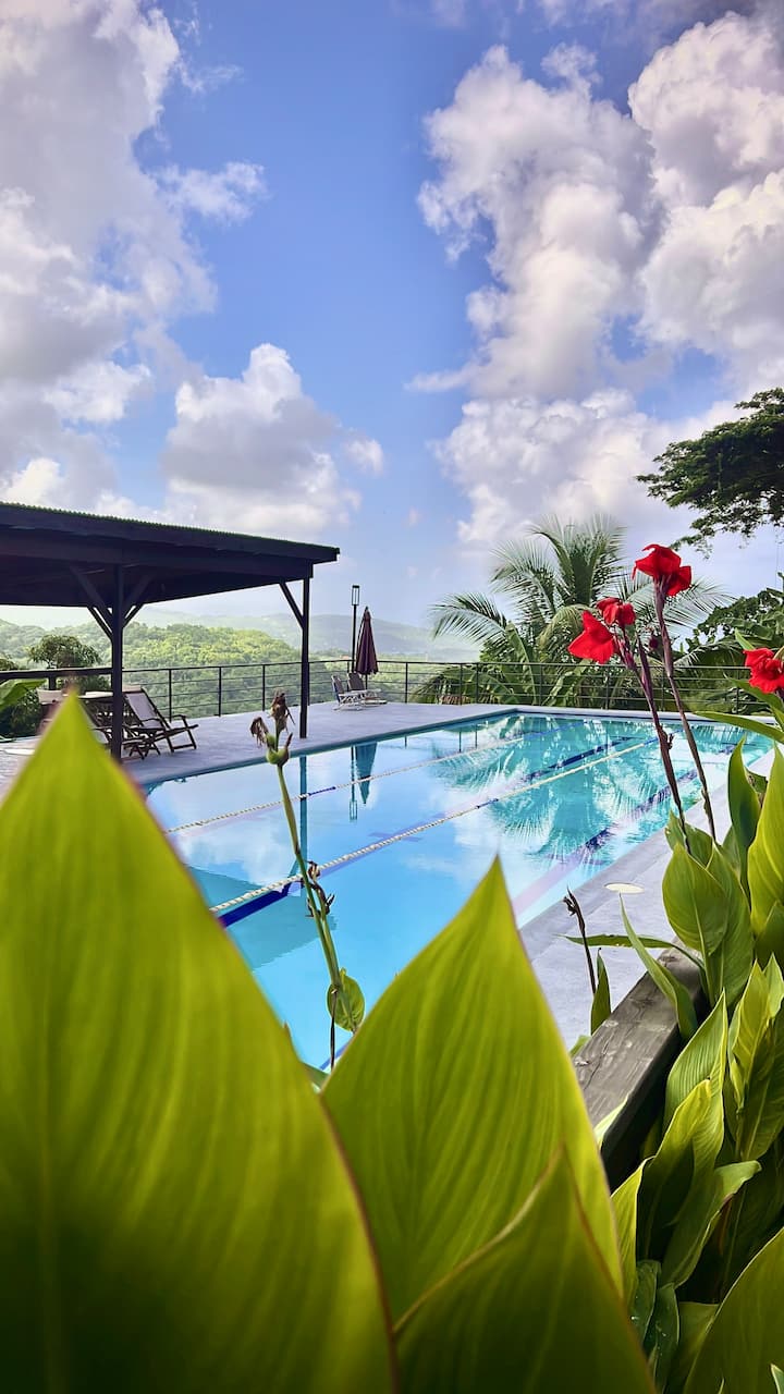 Barracuda Suite - Port Antonio