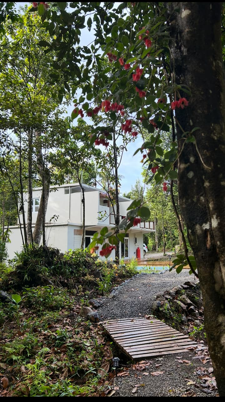 Arcadia
Luxury 3br Eco Villa With Mountain View. - Dominica