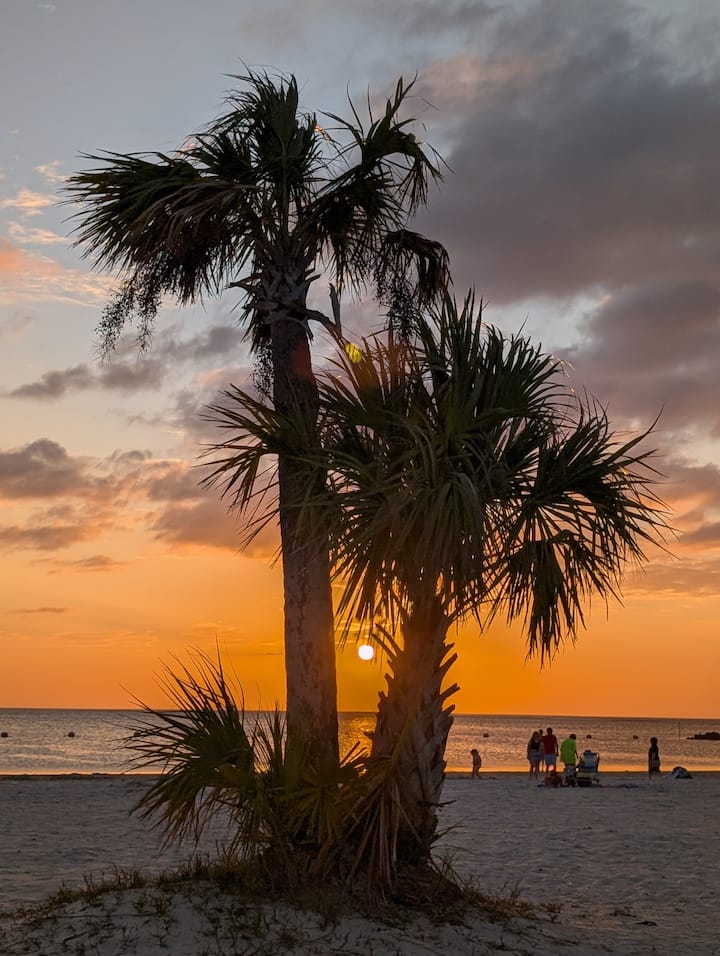 Camp In The Sun Crystal River Florida - Florida