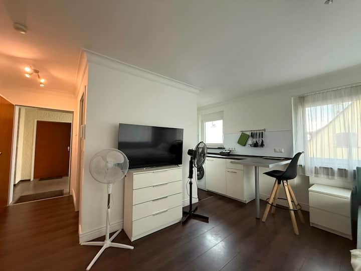 Helle Einzimmerwohnung In Vaihingen Vischerstr.13 - Stuttgart