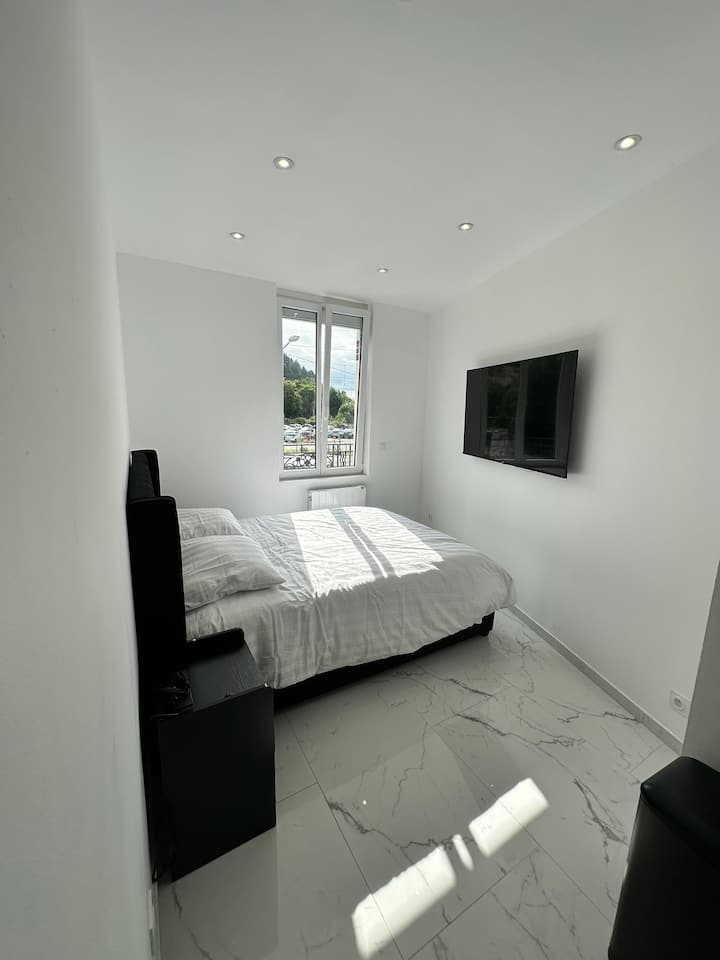 Appartement (8)/100m Gare/netflix/ Vue Basilique - Lisieux