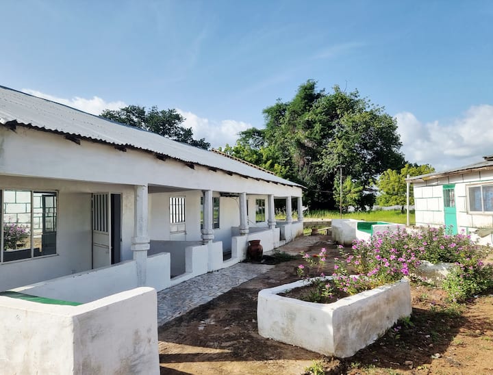 Janjanbureh Lodge - Gambia
