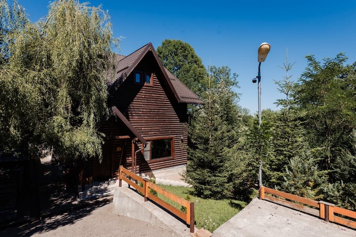 Forest View Chalet - Aluniș