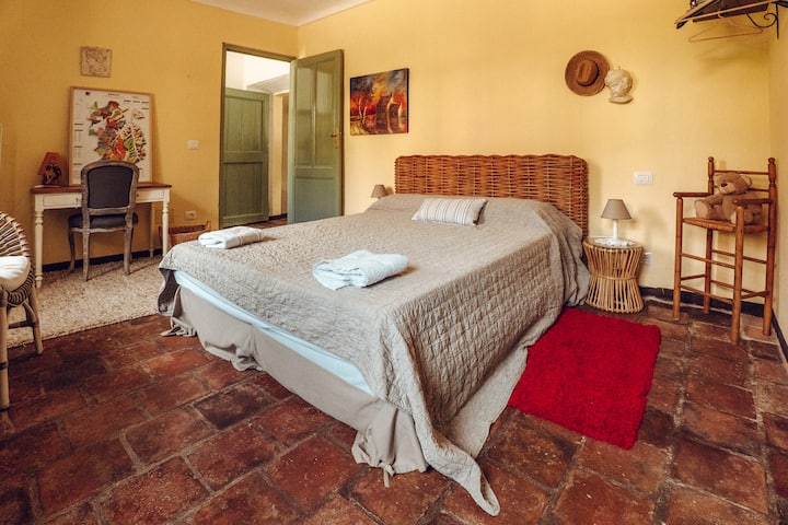 Chambre 2 Typique Au Coeur Des Vignes Des Langhe - Barolo