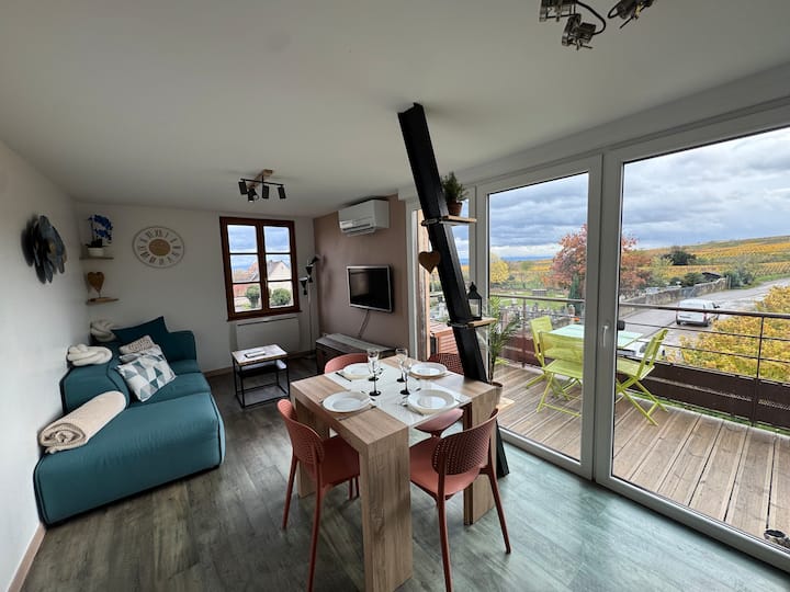 Duplex Face Aux Vignes Avec Parking à Riquewihr - Riquewihr