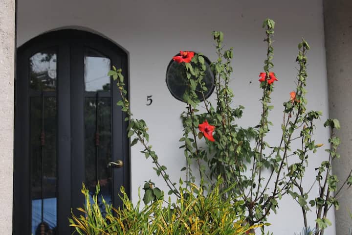 El Encino Hostal: Hab #5 Sencilla - Tepoztlán