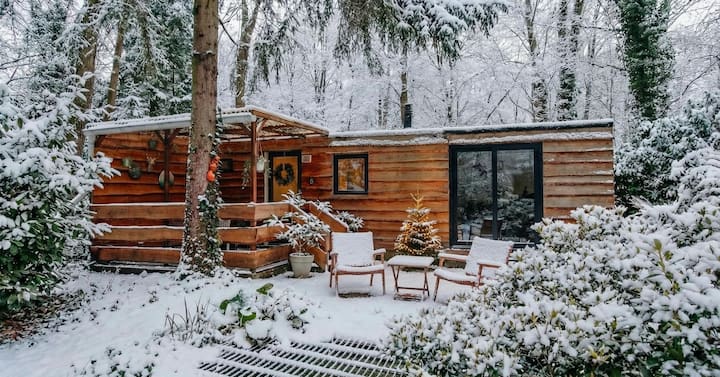 Het Wilde (Winterse) Roodborstje - Zwolle