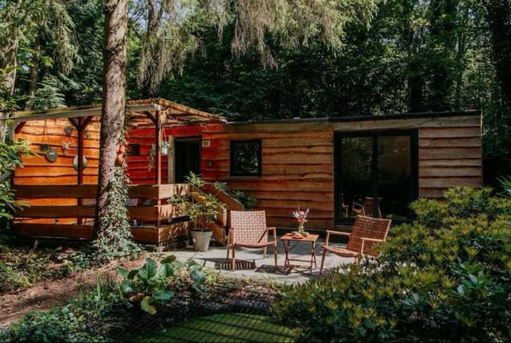 Het Wilde Roodborstje – Knus Natuurhuisje Veluwe - Zwolle