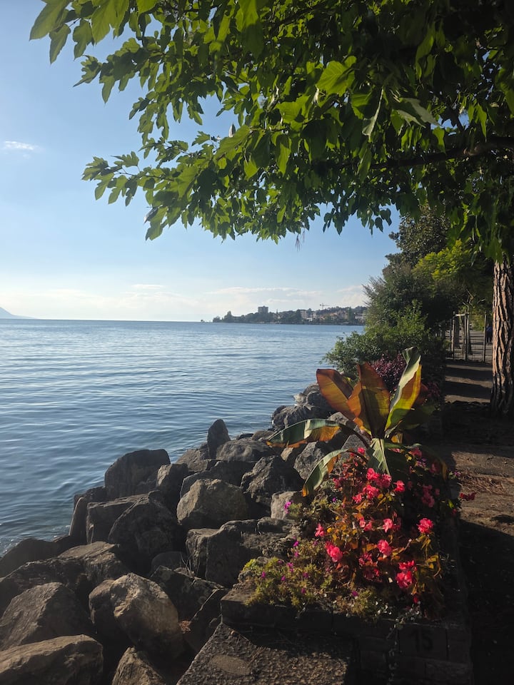 Estudio Centrico Funcional Y Tranquilo - Vevey
